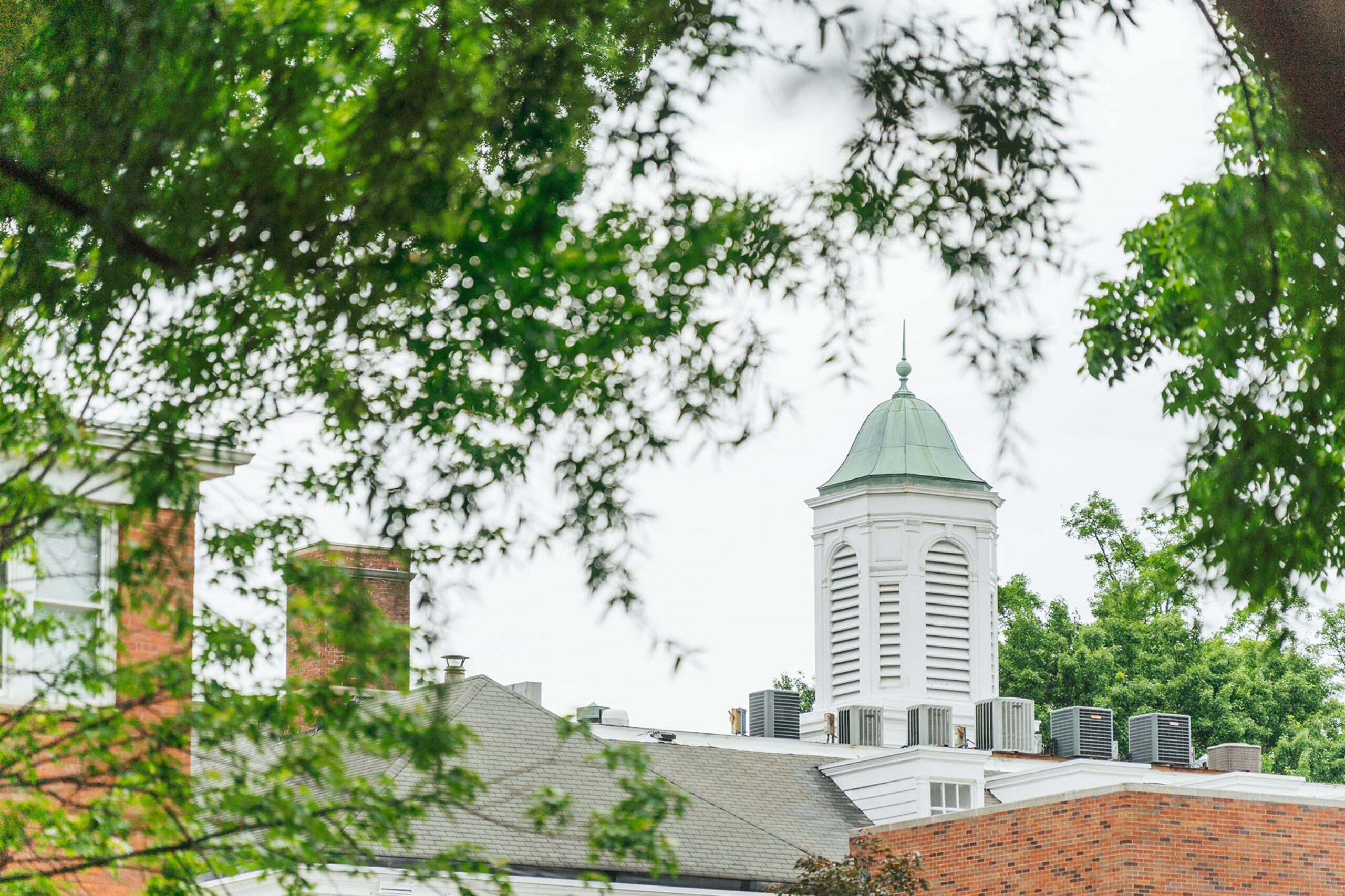 Faculty & Staff – Sociology & Anthropology