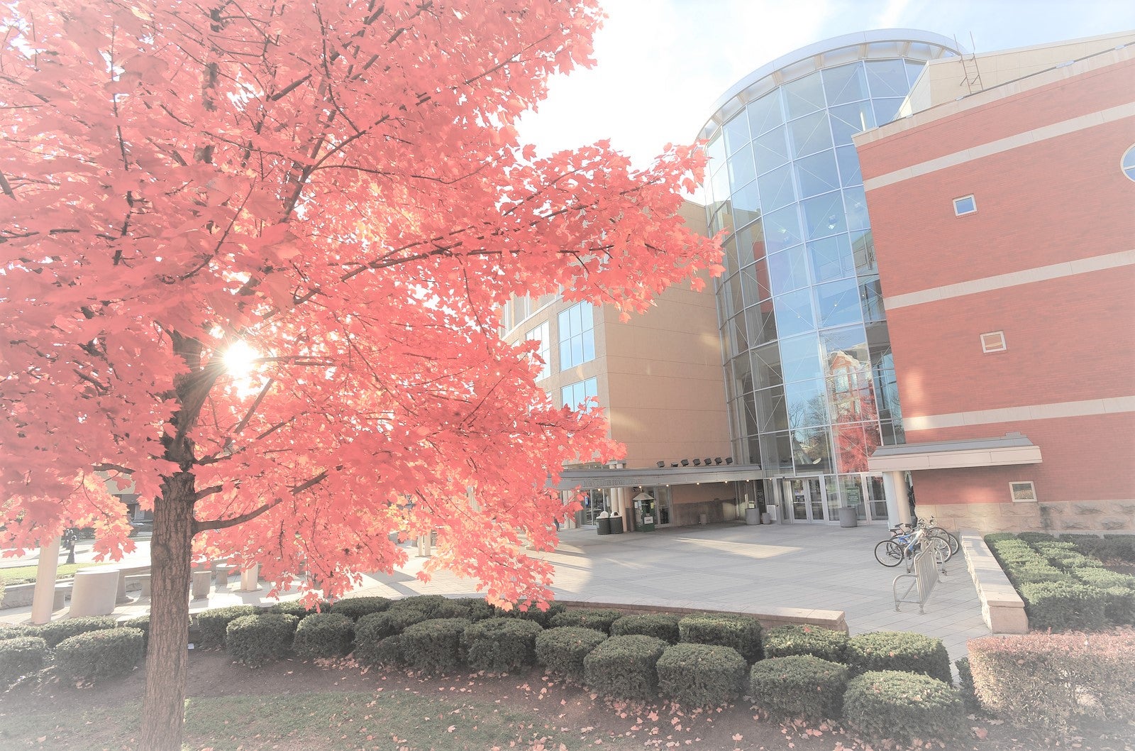 Ways to Donate – John Deaver Drinko Academy