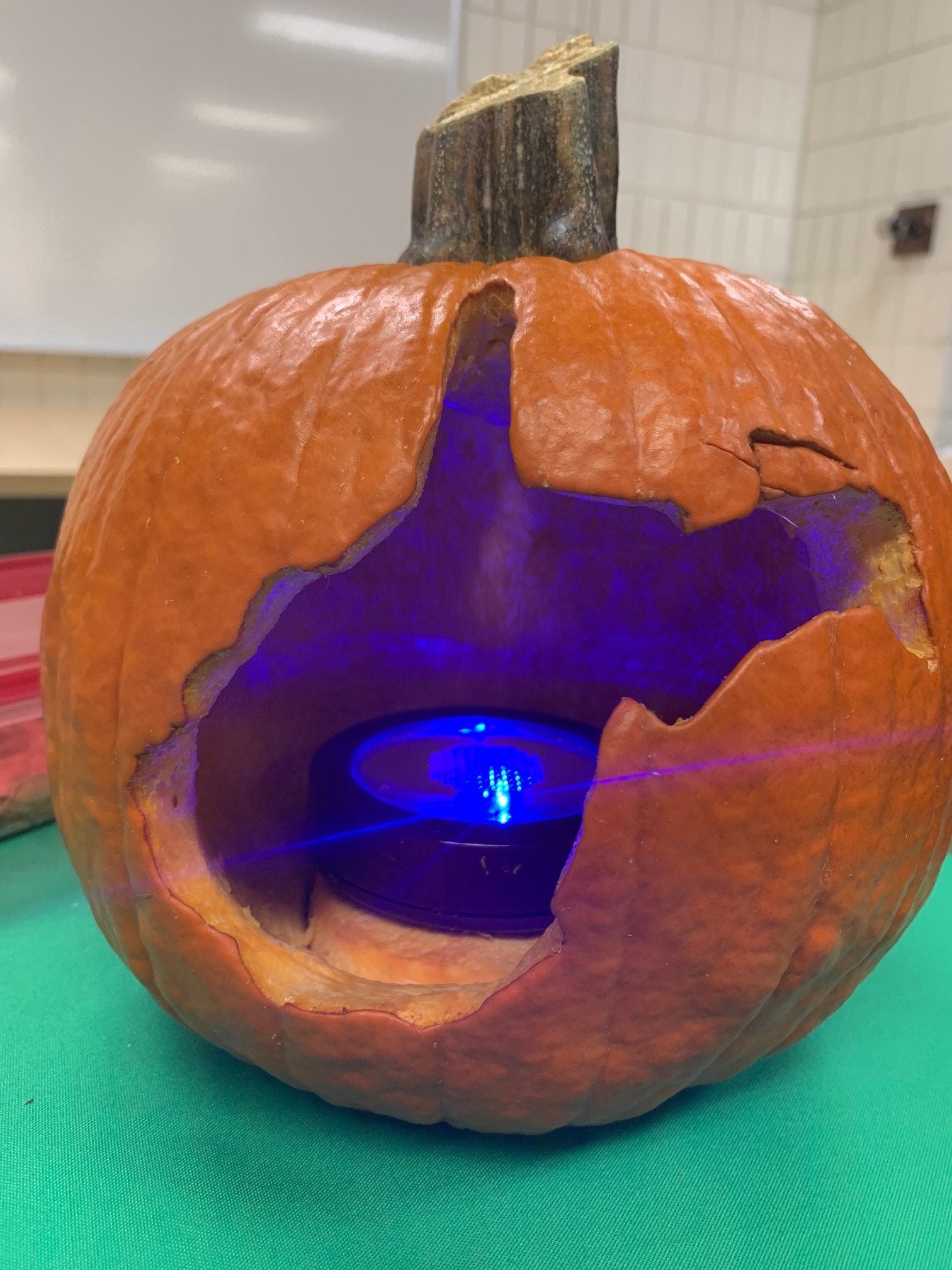 WV Pumpkin - History