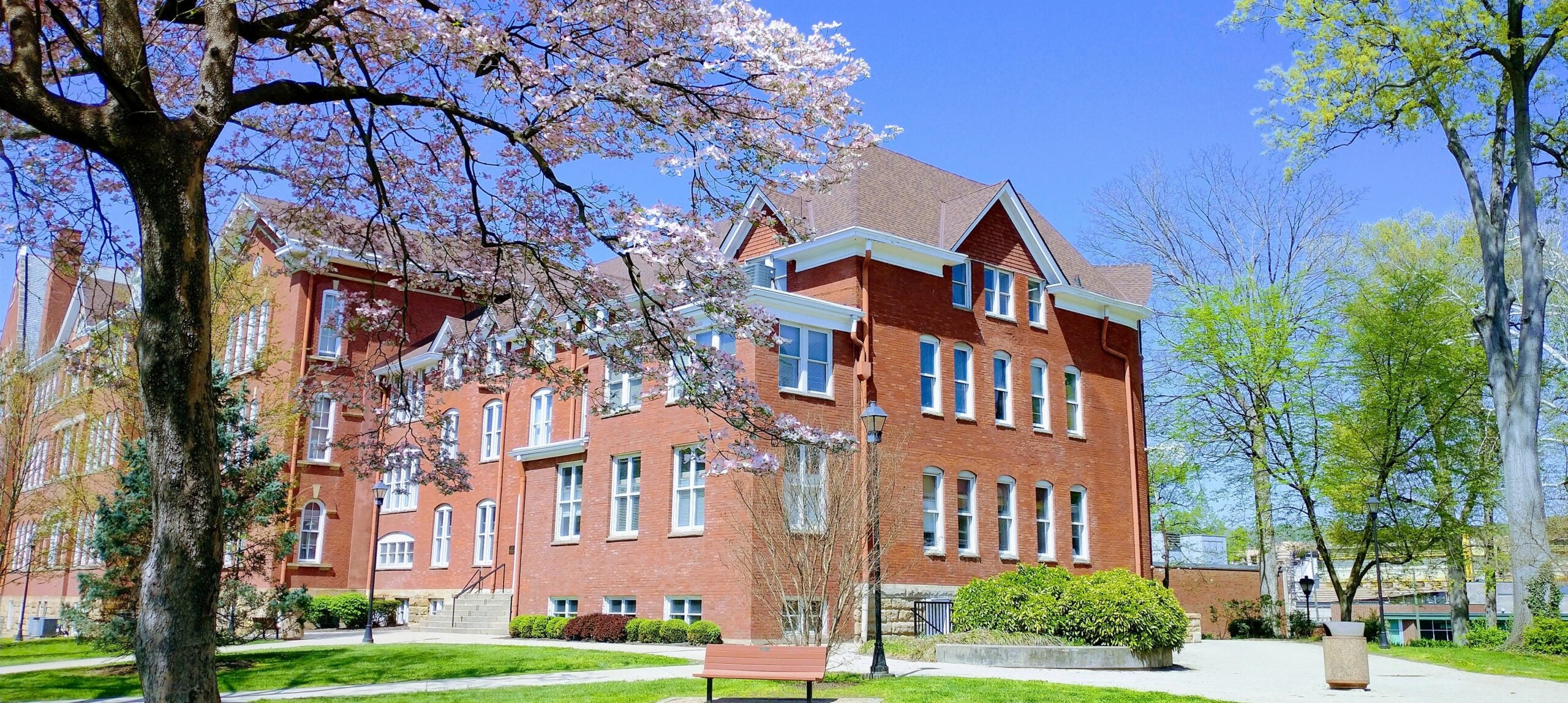 Explore All Honors Admission Pathways - Honors College