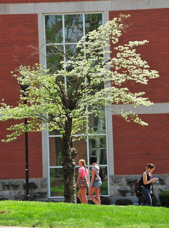 Spring on campus is a beautiful season of the year. – Office of ...