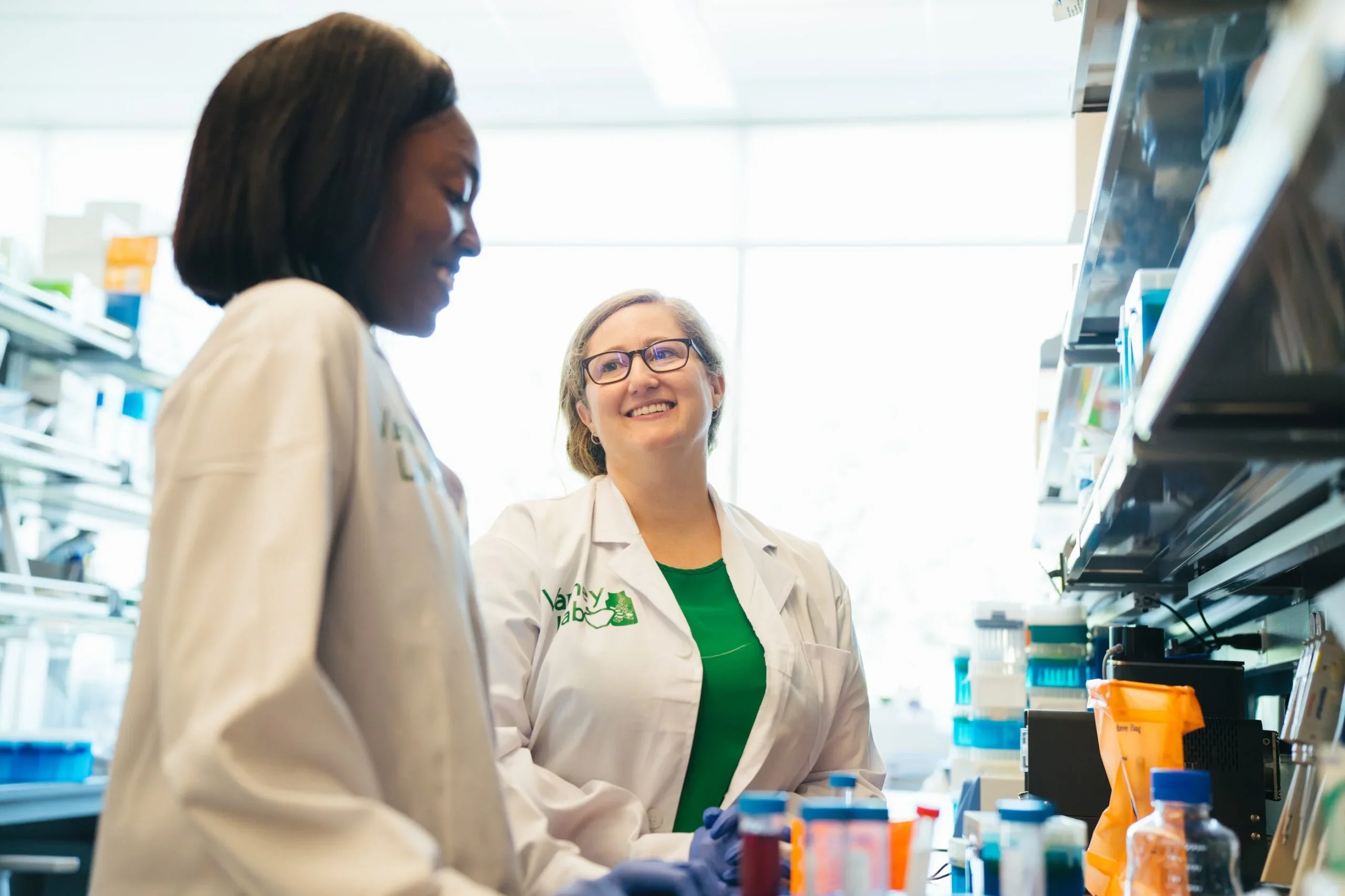 School of Pharmacy - School of Pharmacy