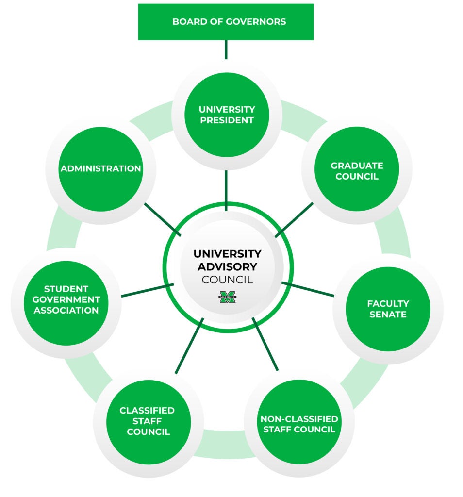 Organization Chart – Shared Governance
