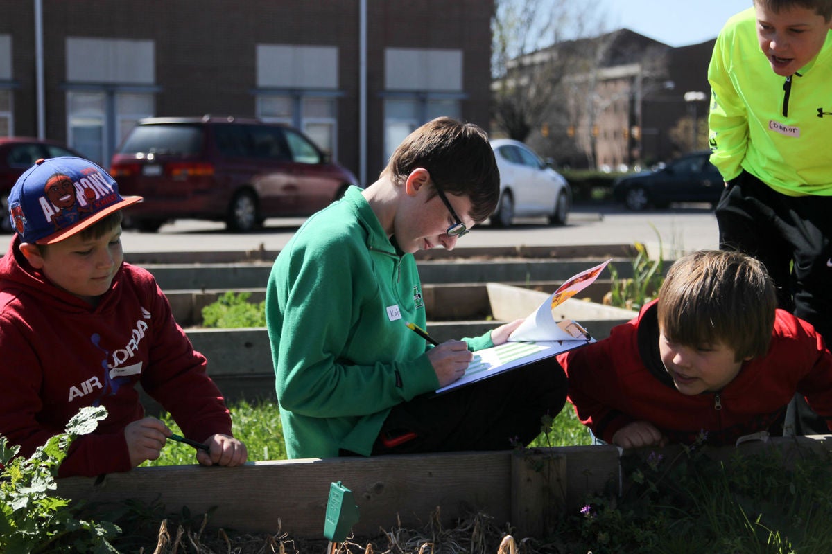 Green Sustainability Education Modules (GSEM) Project – Sustainability ...