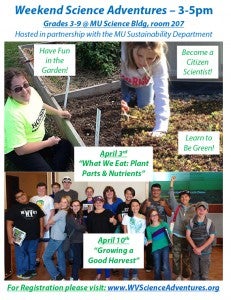 Green Sustainability Education Modules (GSEM) Project – Sustainability ...