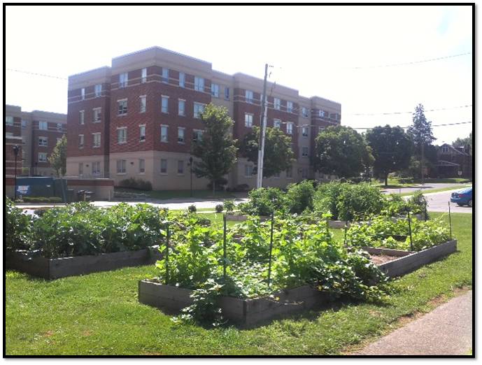 Sustainability Gardens – Sustainability Department