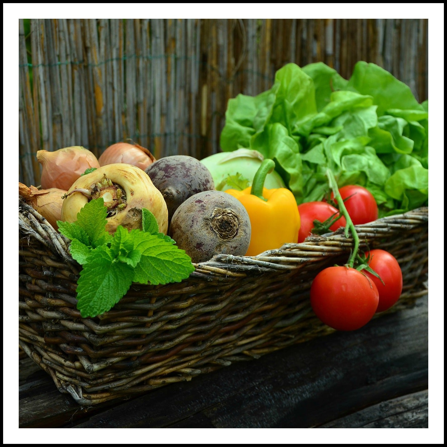 Edible Stem Example
